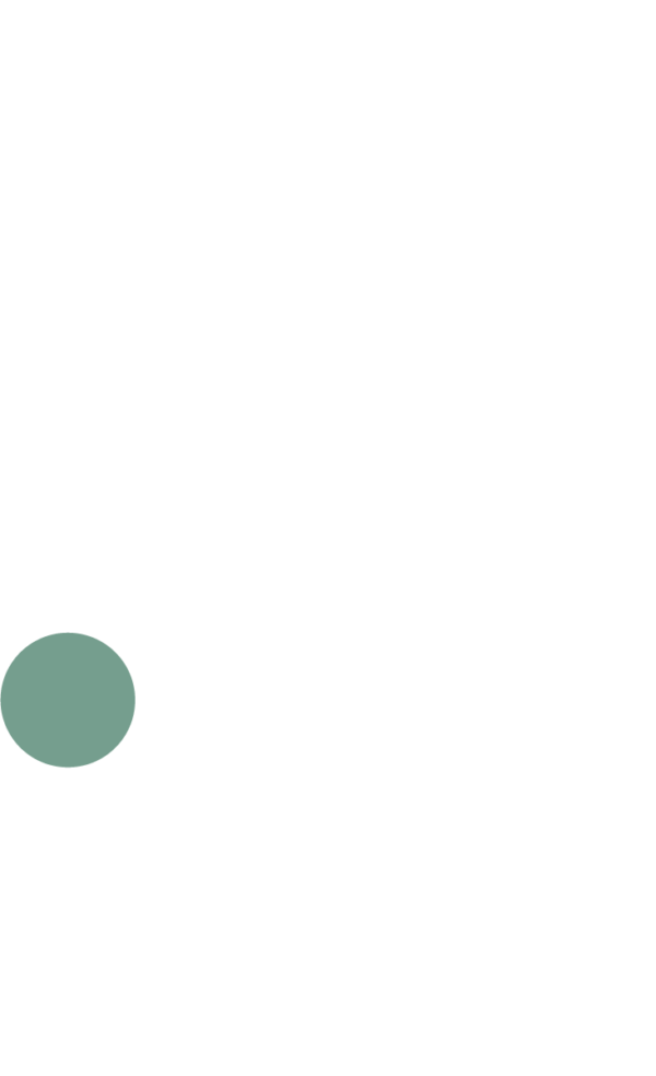 JungleWall - Thinkspace