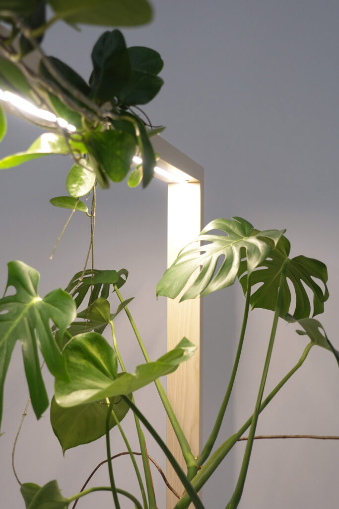 GreenFrame - Thinkspace