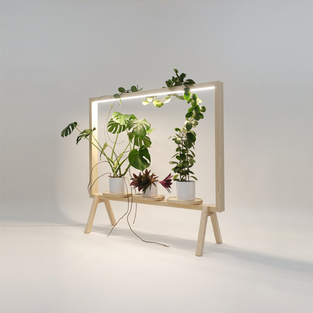 GreenFrame - Thinkspace