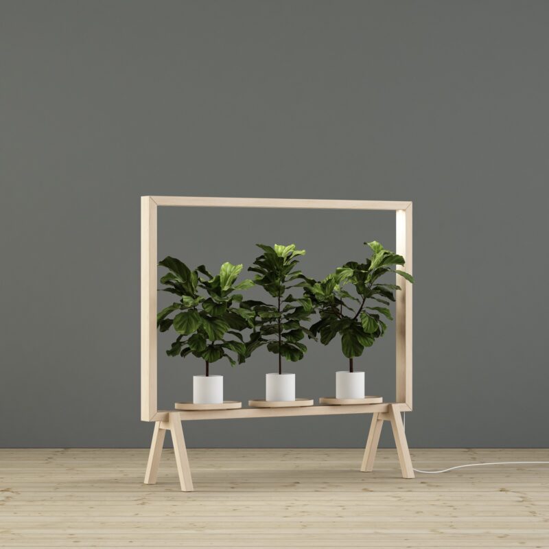 GreenFrame - Thinkspace