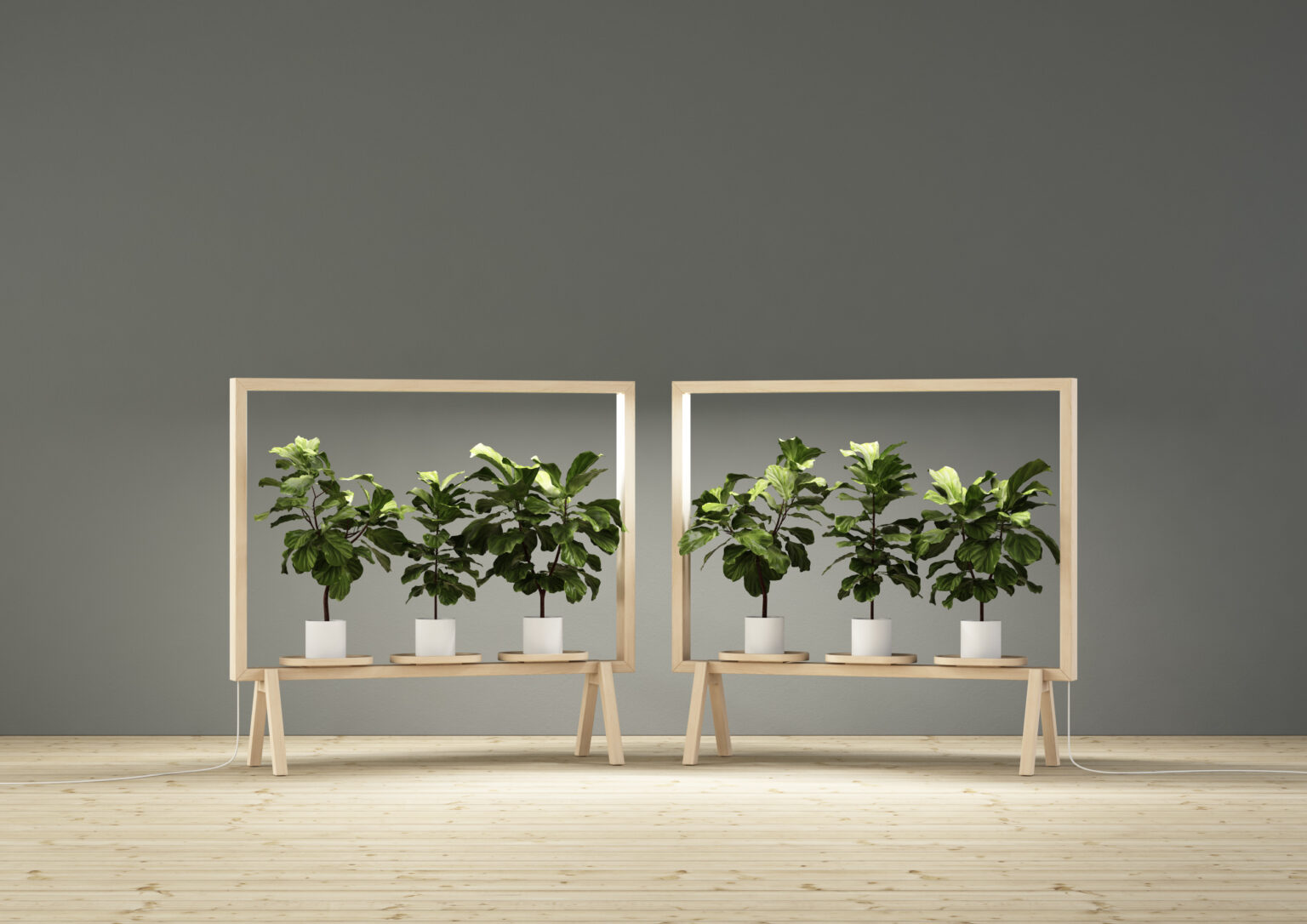 GreenFrame - Thinkspace